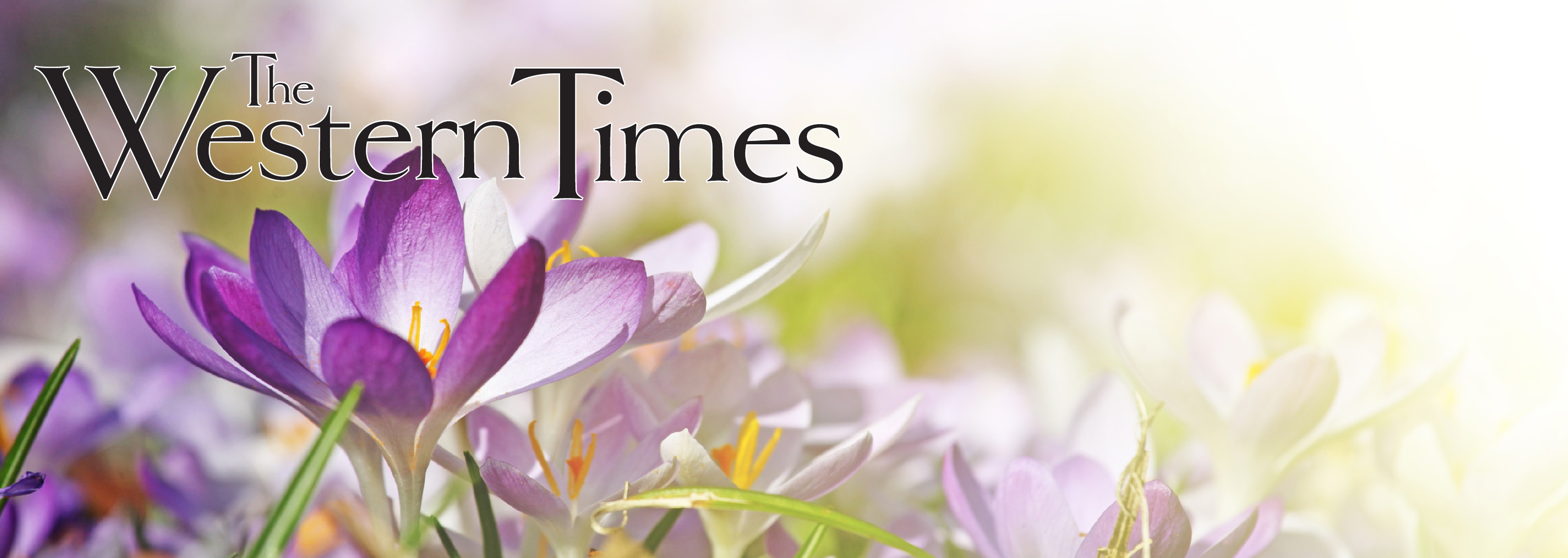 The Western Times